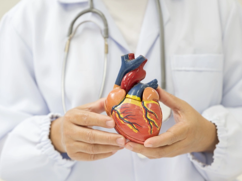 Practice Points for Heart Failure | Allevia Cardiology Ascot
